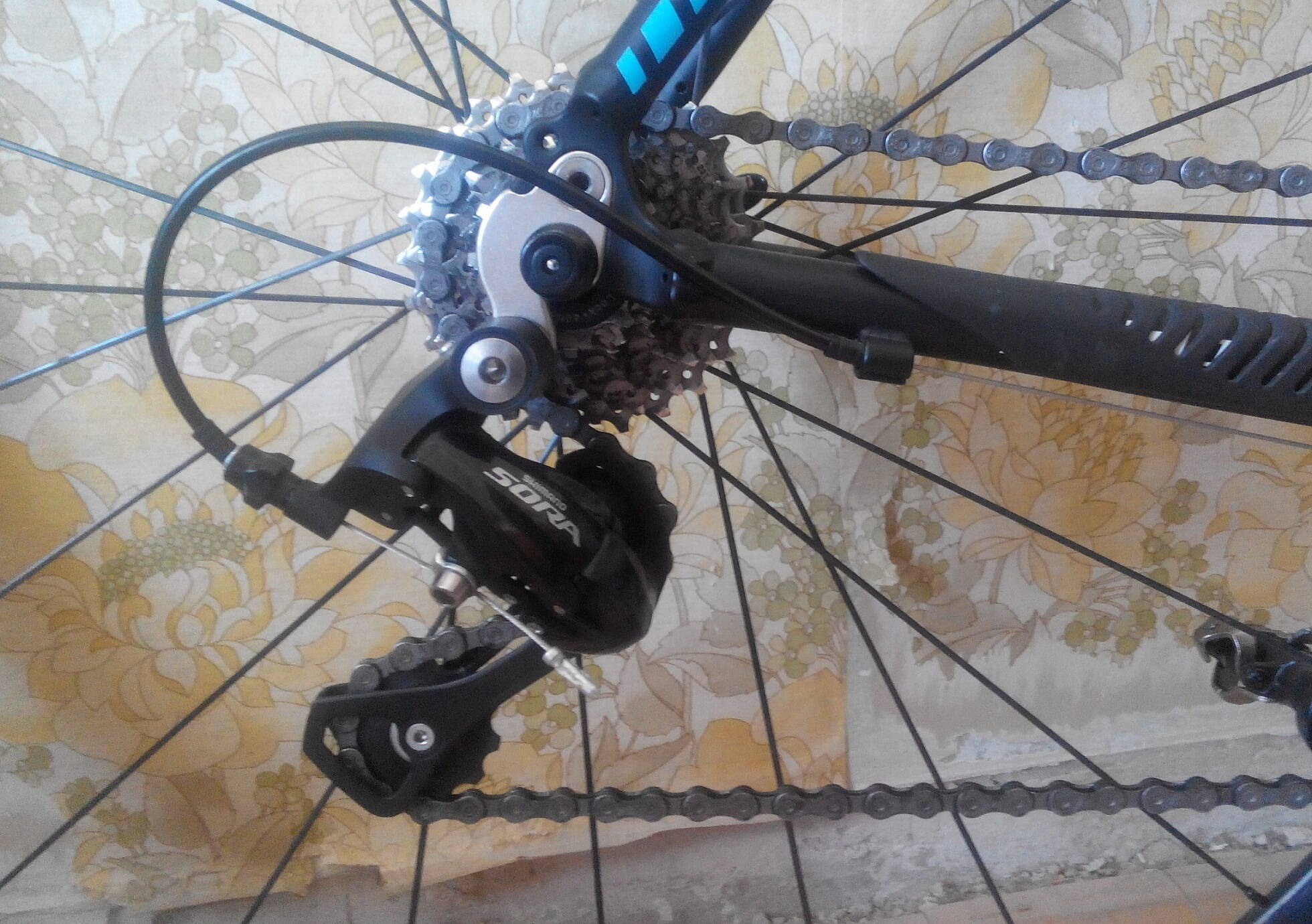 301 Moved Permanently